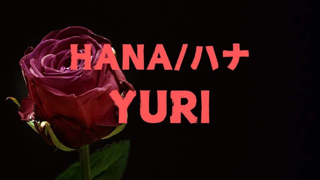 ノノガ/HANA・YURIはどことのハーフ？最新プロフィールや経歴！