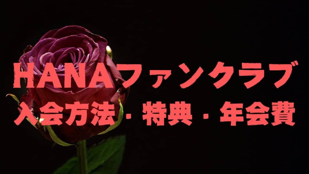 HANAメンバー人気順ランキング最新を独自調査！人気な理由は？