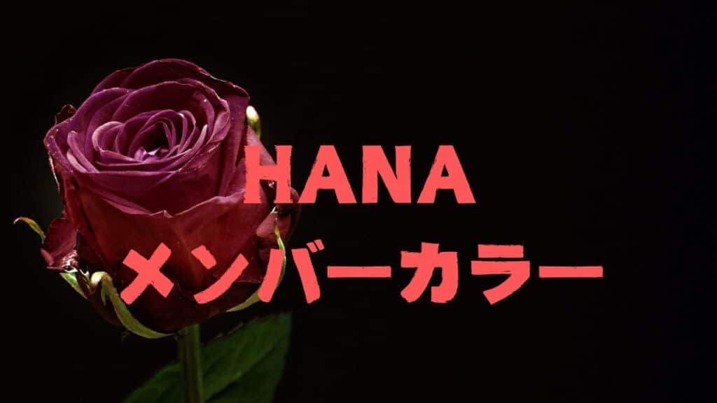 ノノガ/HANA・YURIはどことのハーフ？最新プロフィールや経歴！